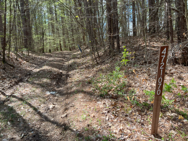 Dutch Ridge - Indiana Fire Towers (by Mark A)