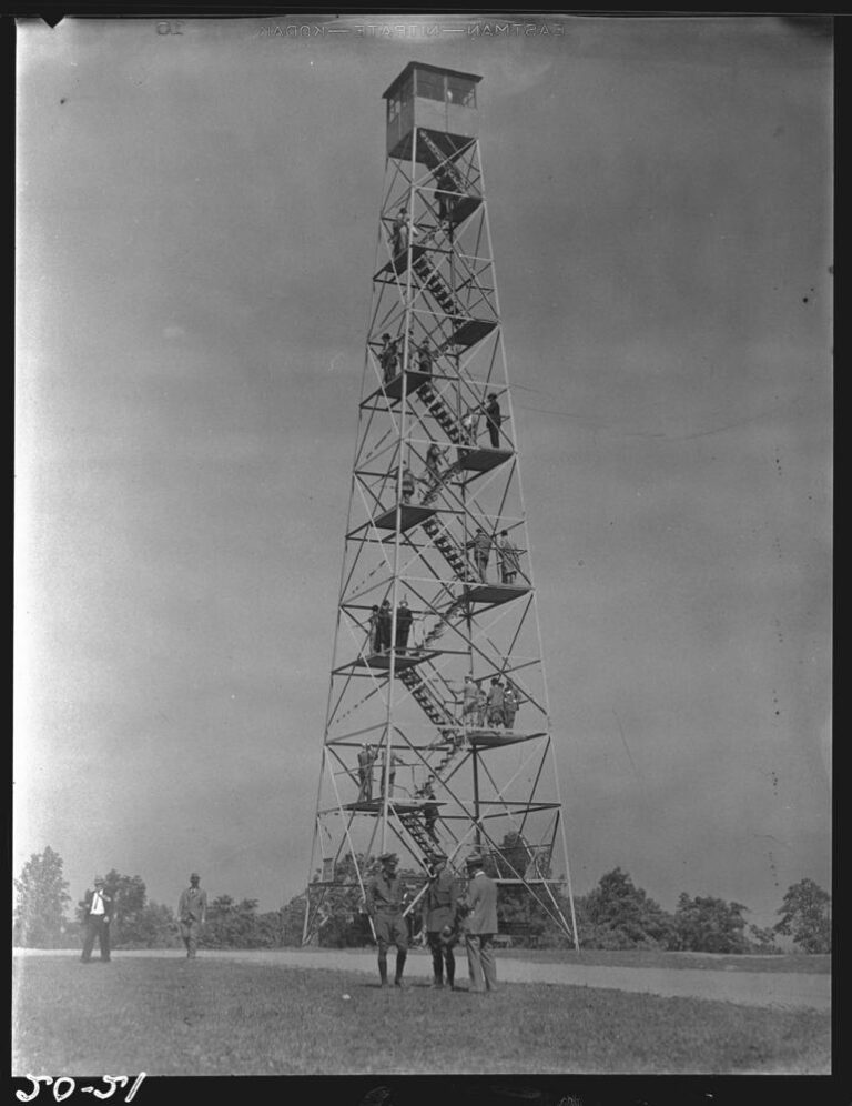 Weed Patch - Indiana Fire Towers (by Mark A)